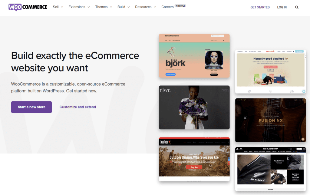 How To Start An Online Store And Create A Website For It